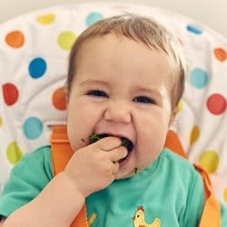 Torbay’s Start for Life offer - Family HubFamily Hub