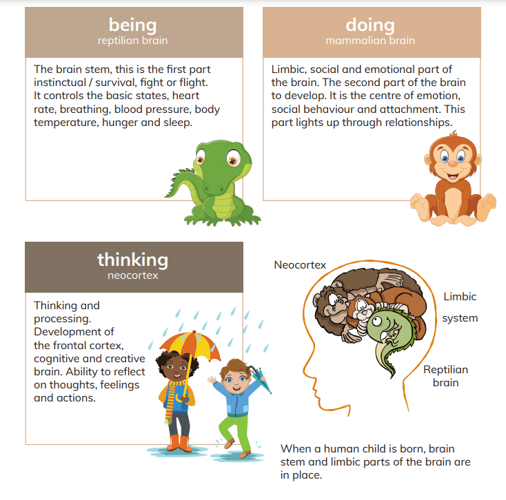 Baby’s brain development - Family Hub