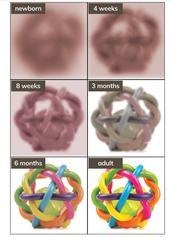 Sensory development of your baby - Family Hub