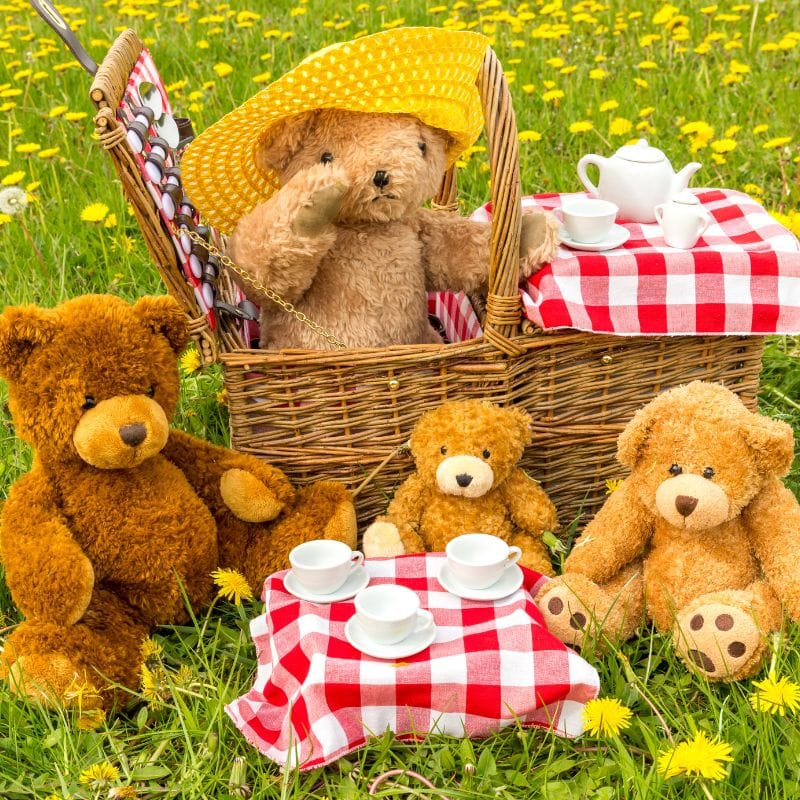 Teddy Bears Picnic - Family Hub