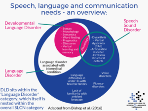 Understanding Speech, Language and Communication Needs (SLCN) - Family Hub