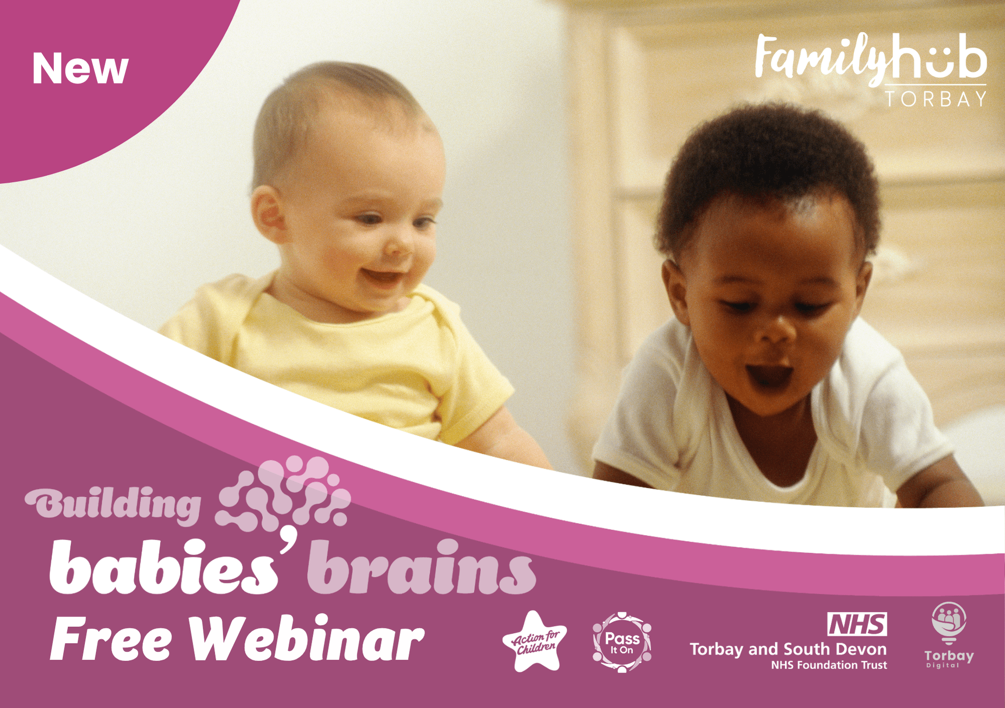 Building Babies Brains Webinar | Family Hub